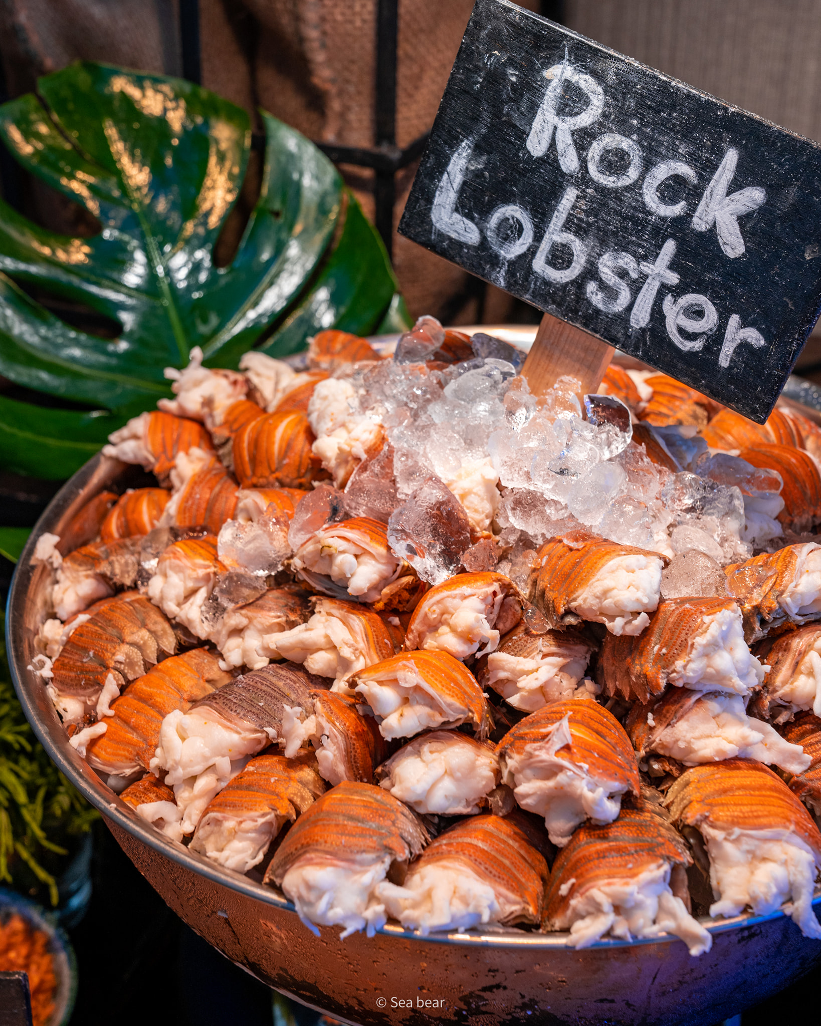 Fisherman BBQ Buffet - E-MICE Marketplace : THAI MICE CONNECT